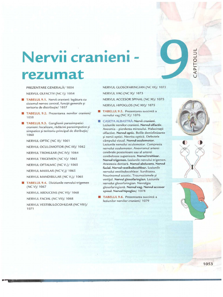 Cap 9. Nervii Cranieni - Rezumat | PDF