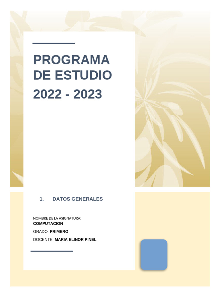 Programa de Estudio | PDF | Informática | Información