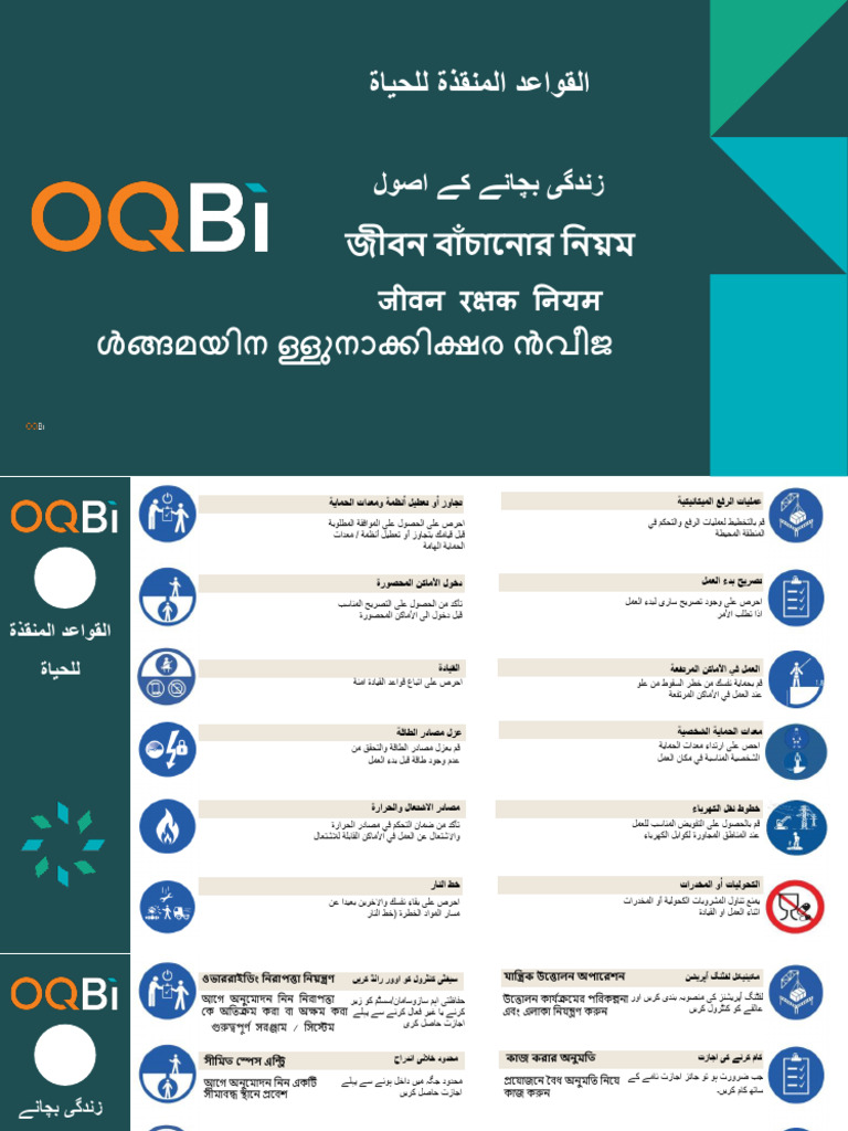 Oqbi LSR | PDF