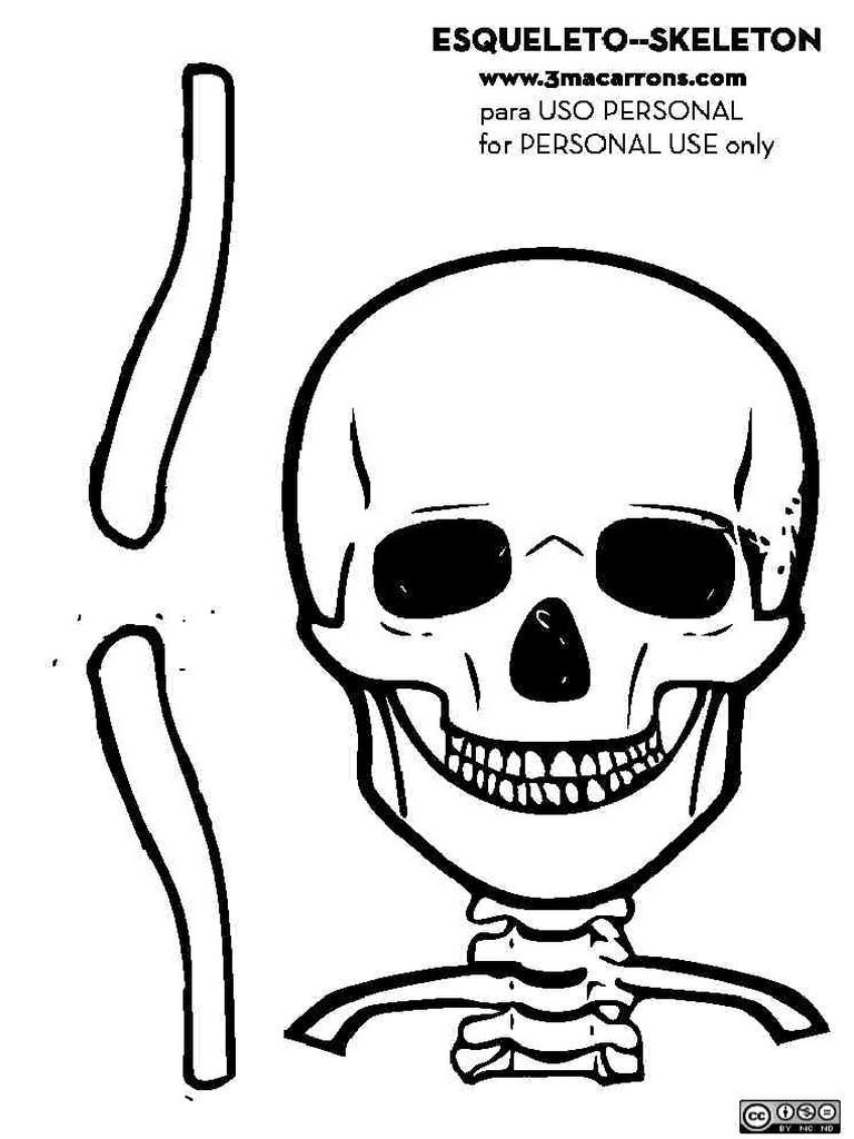 Esquelet Tamano Real Compressed High | PDF