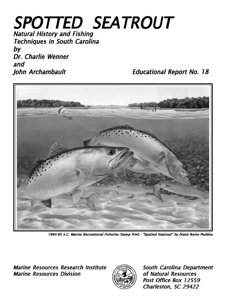 Spotted Sea Trout Guide For SC | PDF | Fly Fishing | Spawn (Biology)
