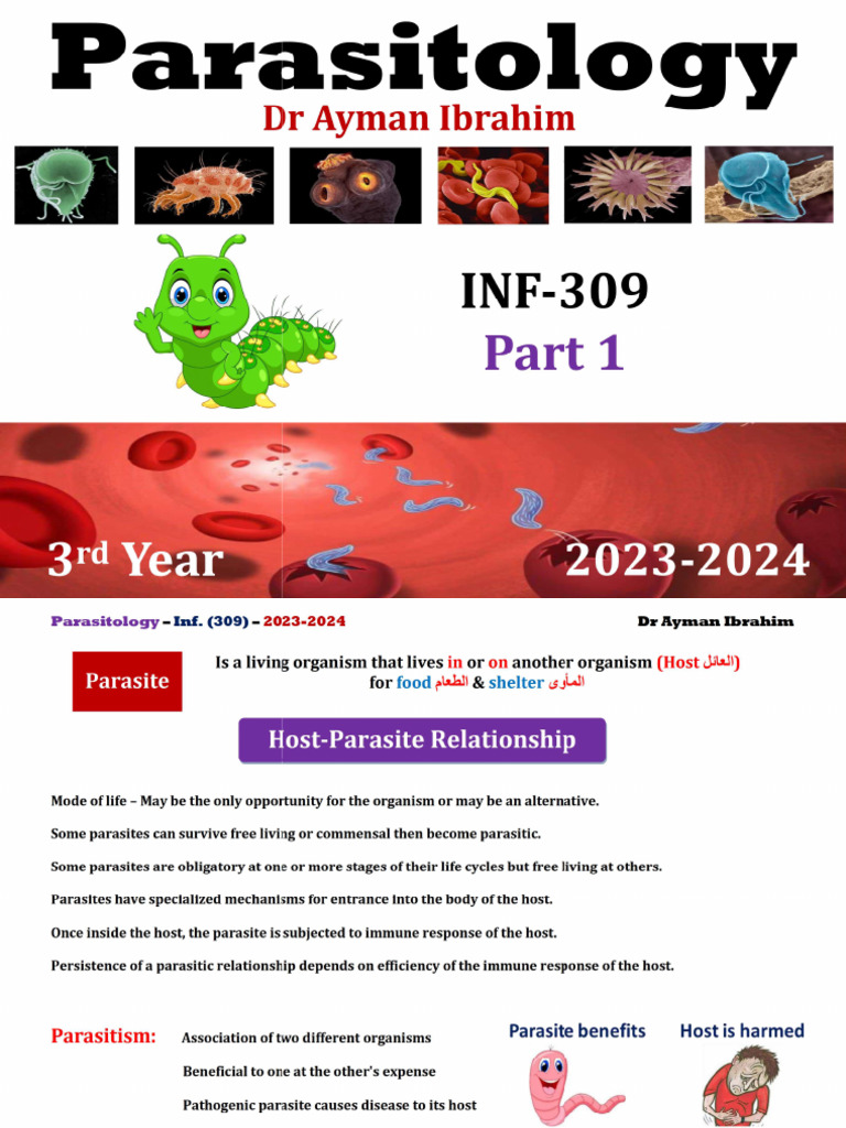 Para 1 INF-309 DR Ayman Ibrahim | PDF