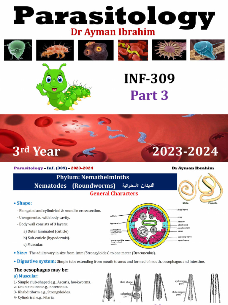 Para 3 INF-309 DR Ayman Ibrahim | PDF