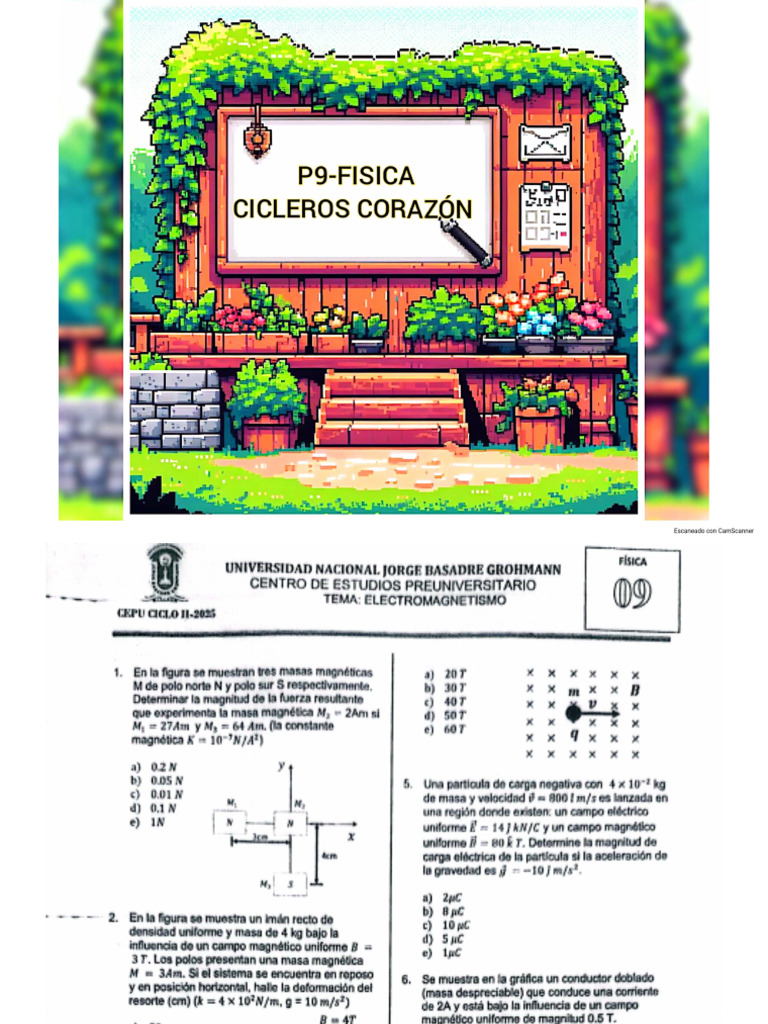 P9 Fisica | PDF