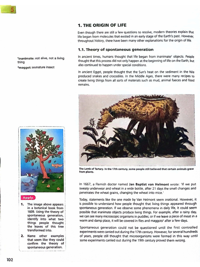 Biología UD 4 | PDF