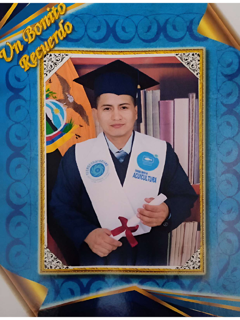 Pixelcut Export | PDF