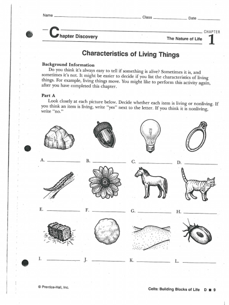 Characteristics of Living Things | PDF