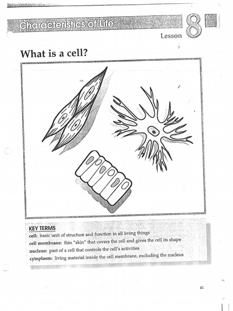 1. The Cell | PDF