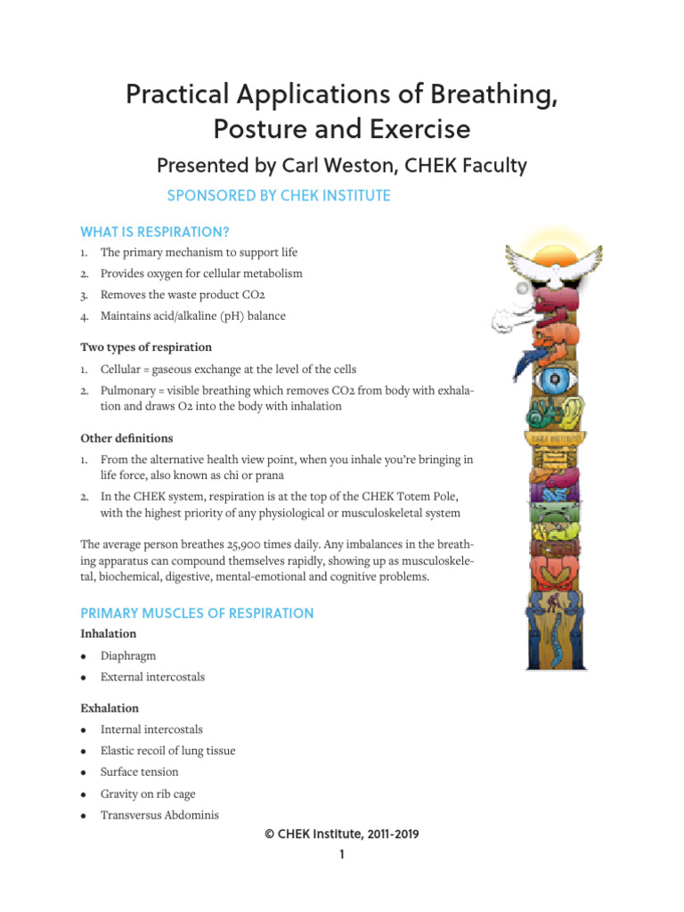 2208 Practical Appllications of Breathing Posture and Exercise | PDF ...
