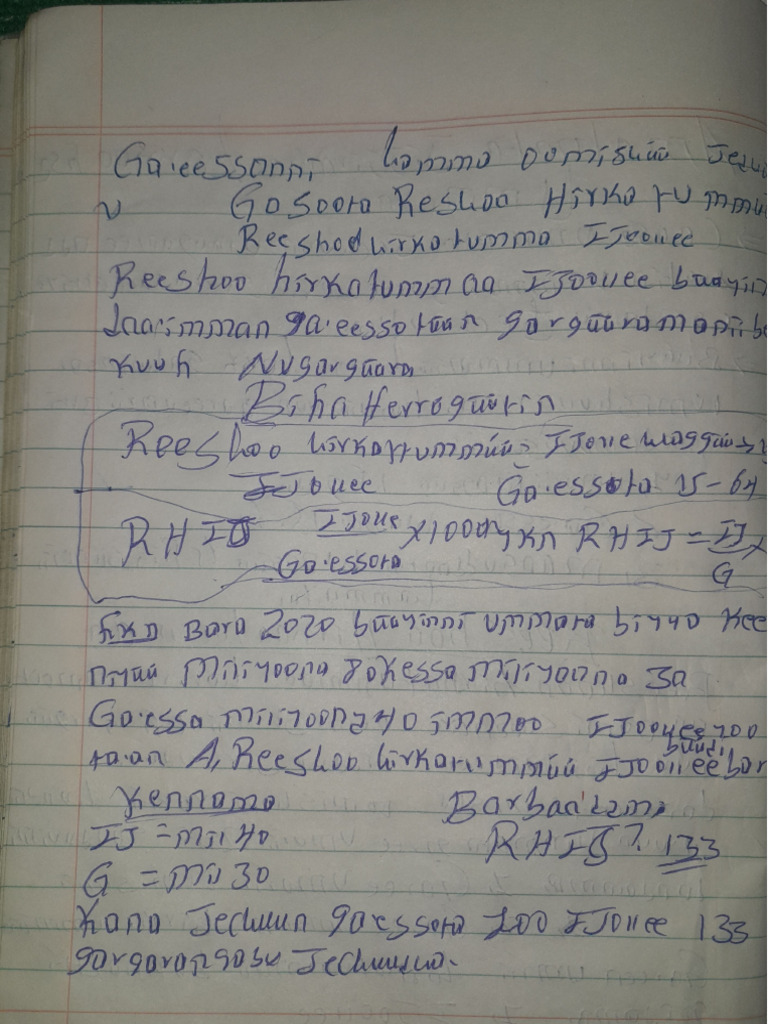 Scanned 20241121 004717 | PDF