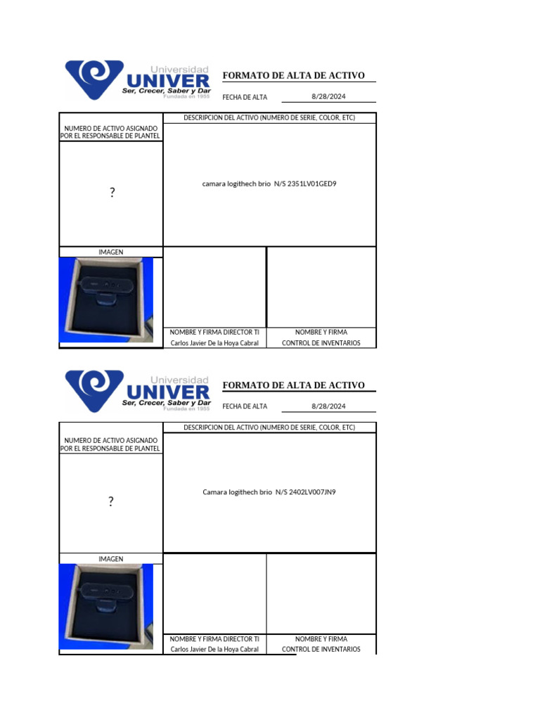 Fotmatos de Altas de Nuevas Activos | PDF