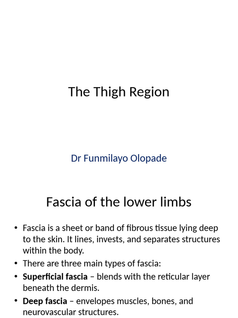 The Thigh Regions | PDF | Human Leg | Foot