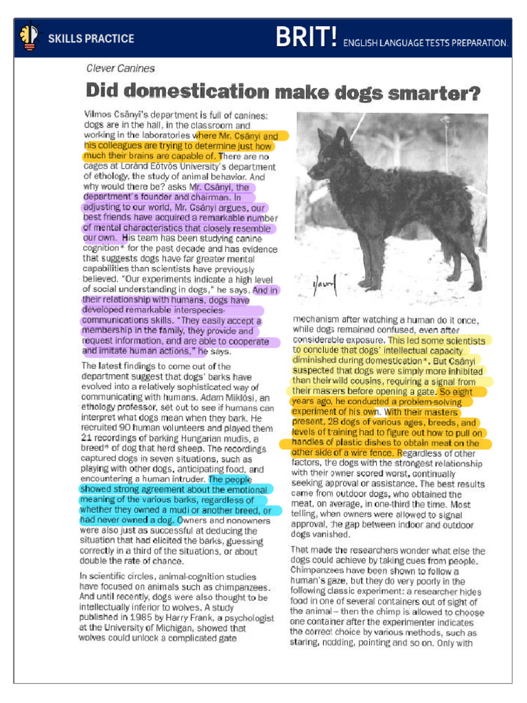 Clever Canines: Skills Assessment Quiz | PDF | Career & Growth