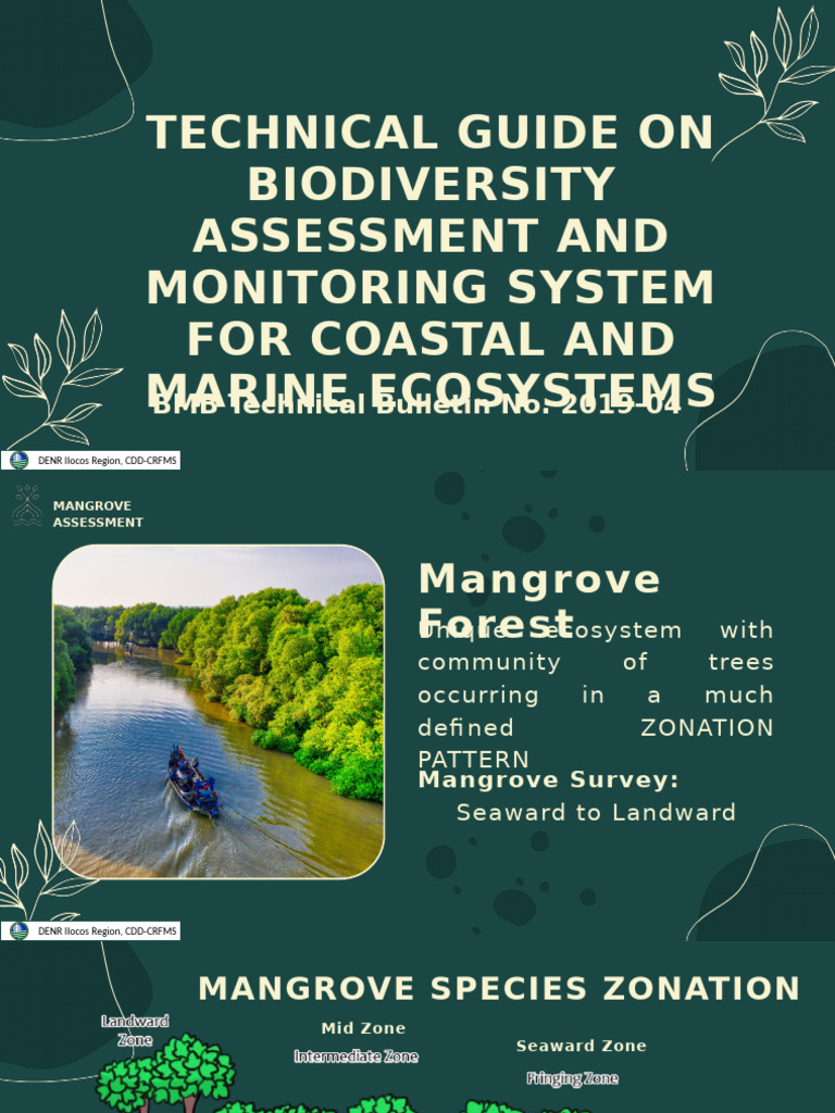 Mangrove Assessment | PDF | Mangrove | Ecology
