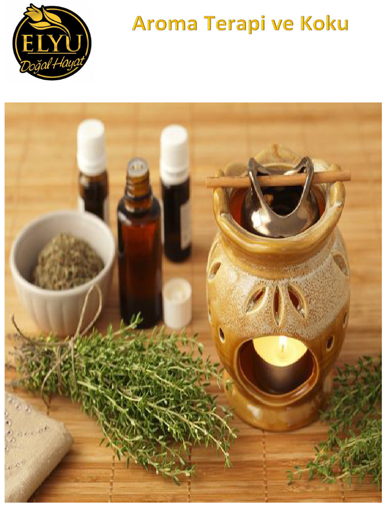 Aromaterapi Koku Ve Parfüm | PDF