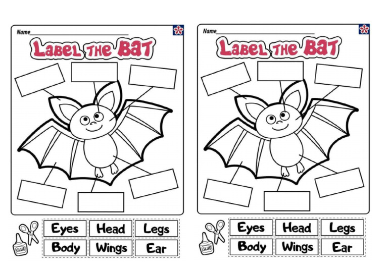 Label The Bat | PDF