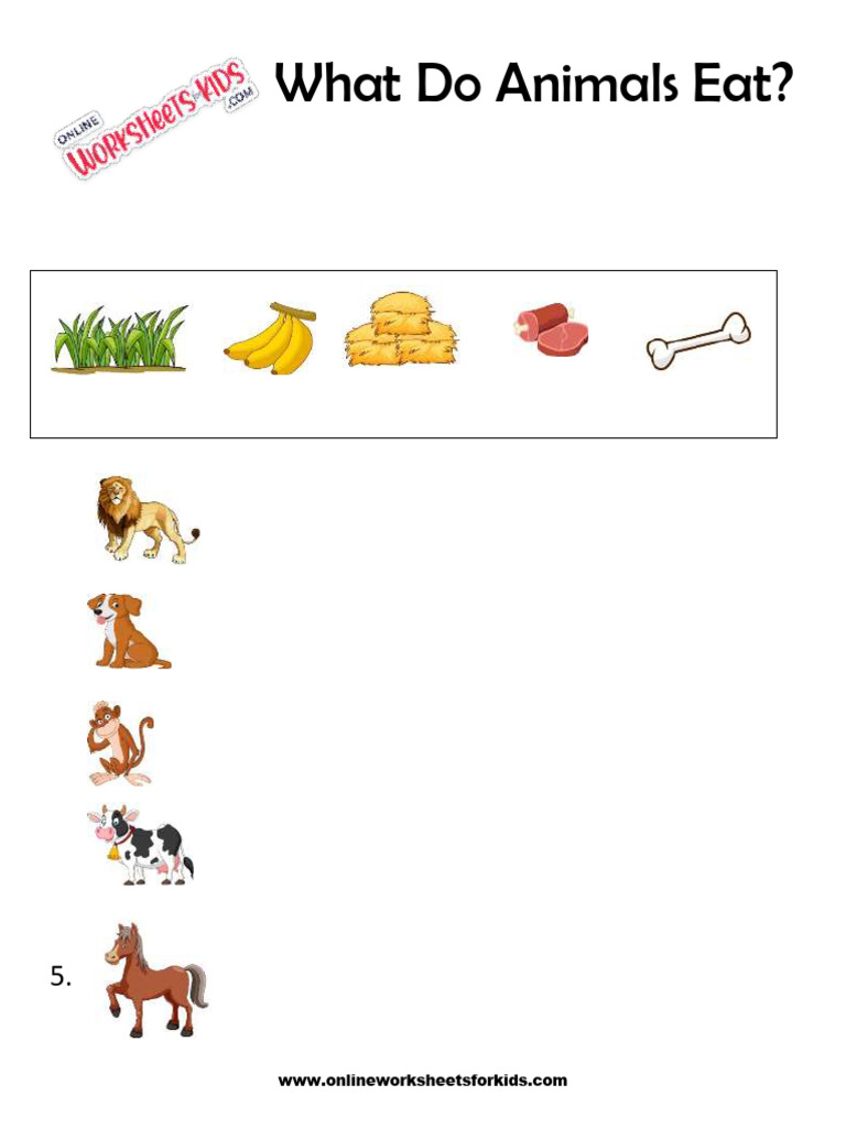 What Do Animals Eat Worksheet For Grade 1-10 | PDF