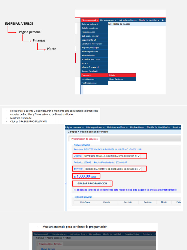 PROGRAMAR CARPETA PREGRADO Y PFA - Pídete - 20.06.2022 | PDF