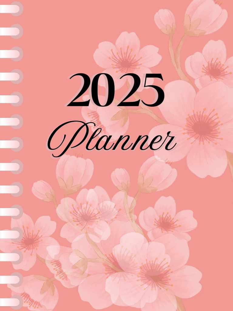 2025 Premium Planner Overview | PDF | Income | Holidays