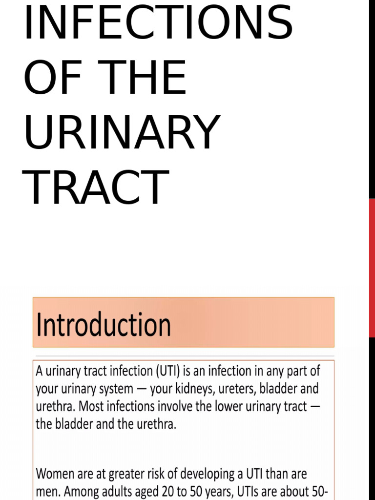 Understanding Urinary Tract Infections | PDF | Urinary Tract Infection ...