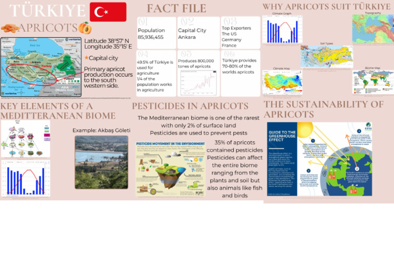 Powerpoint Photos | PDF