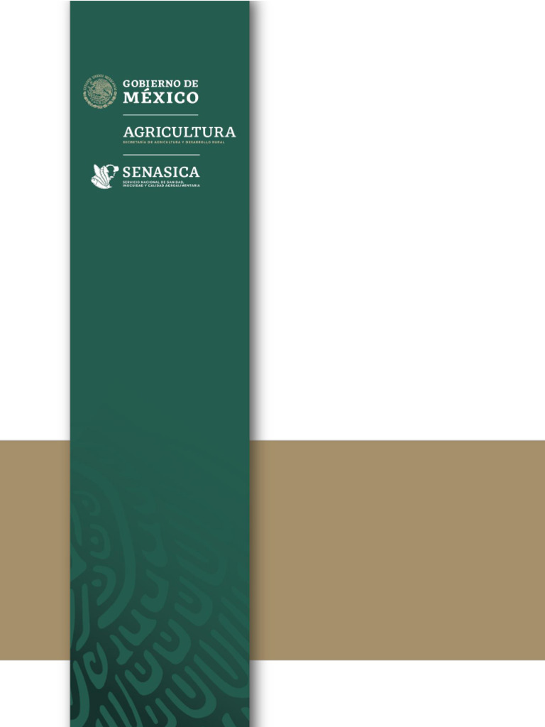 Salmonella y e Coli | PDF | Escherichia coli