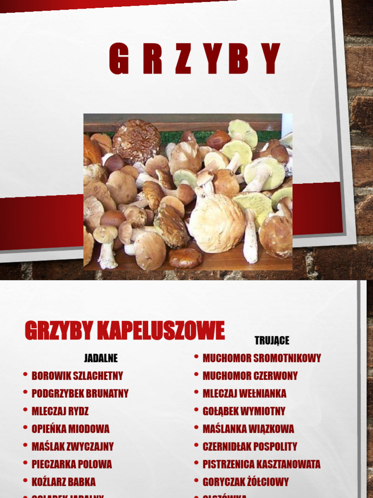 Grzyby | PDF