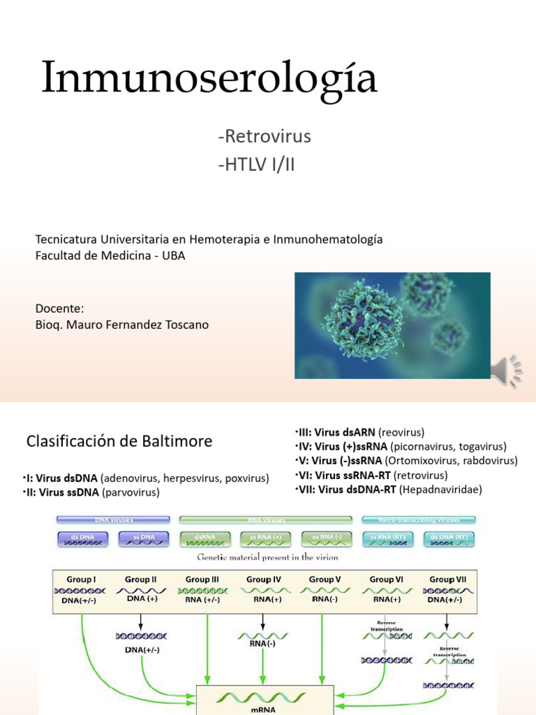 08 - Retrovirus - HTLV | PDF | Virus | Retrovirus