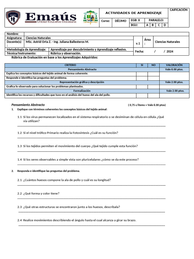 Actividades de Aprendizaje - 1P - 1T - Décimo - CCNN - 2024-2025 | PDF | Aprendizaje | Cognición