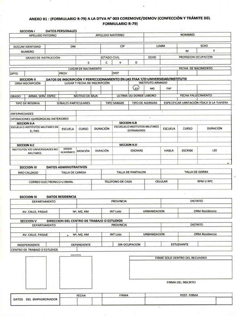 Formato R79 | PDF