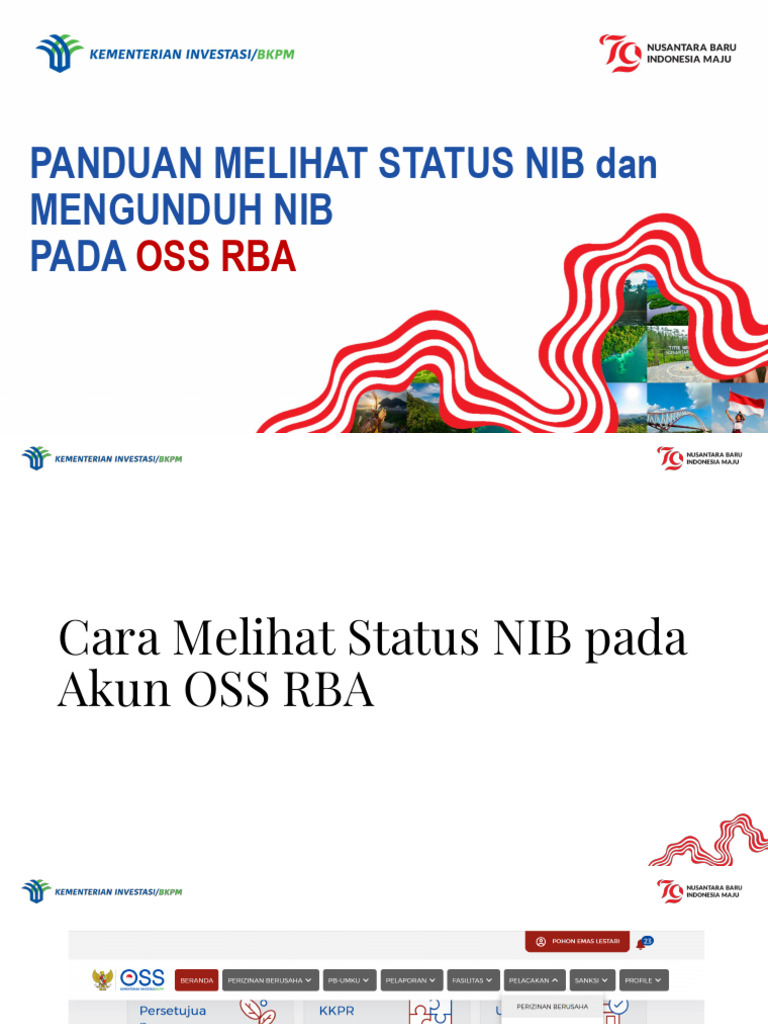 Tata Cara Pengecekan Status Nomor Induk Berusaha NIB | PDF