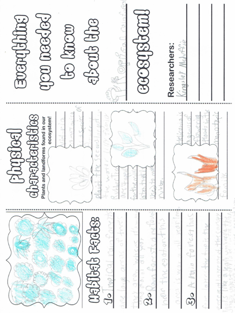 4th Grade Homework | PDF