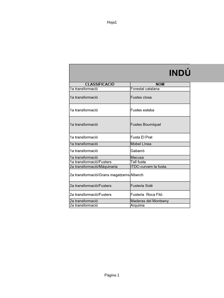 TREBALL FINAL Excel | PDF