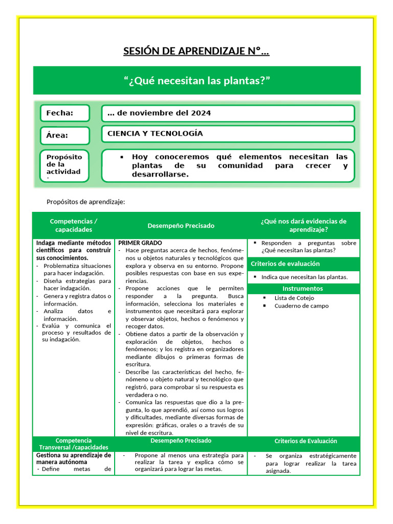 05 de Noviembre - Ciencia - Primer Grado | PDF | Aprendizaje | Evaluación