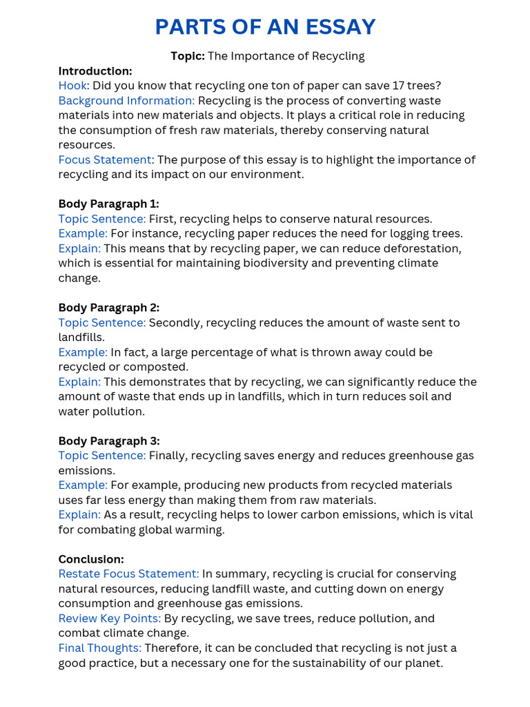 Informative or Explanatory Transition Words English Poster in Colorful ...