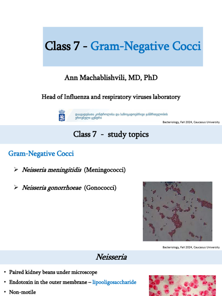 Class 7 - : Gram-Negative Cocci | PDF | Lipopolysaccharide | Medical Specialties