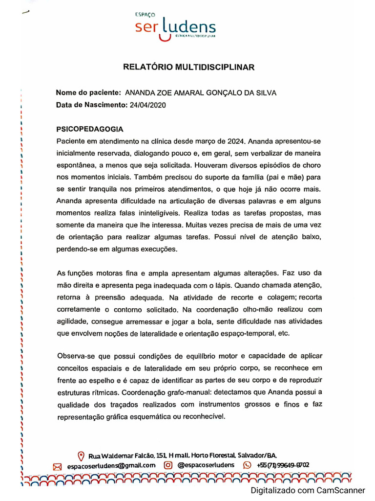 Relatório Ananda Zoe Amaral | PDF