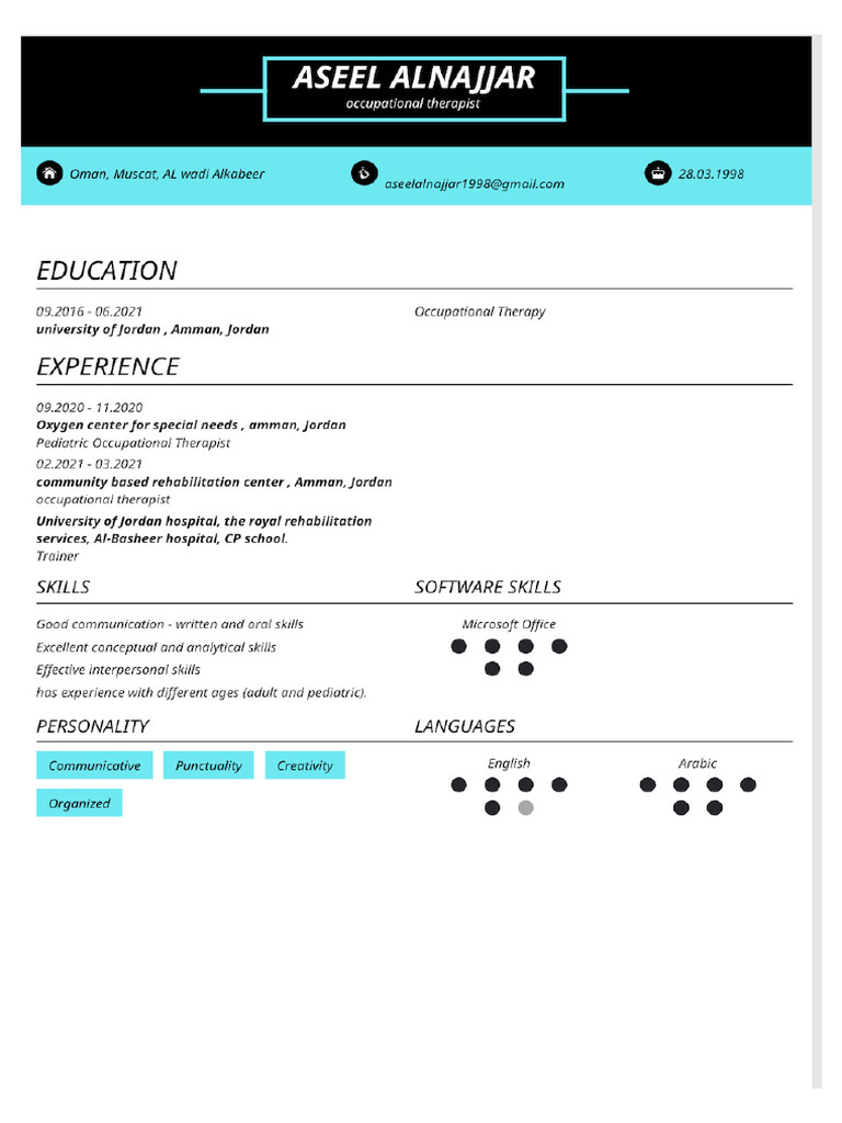 Aseel CV | PDF