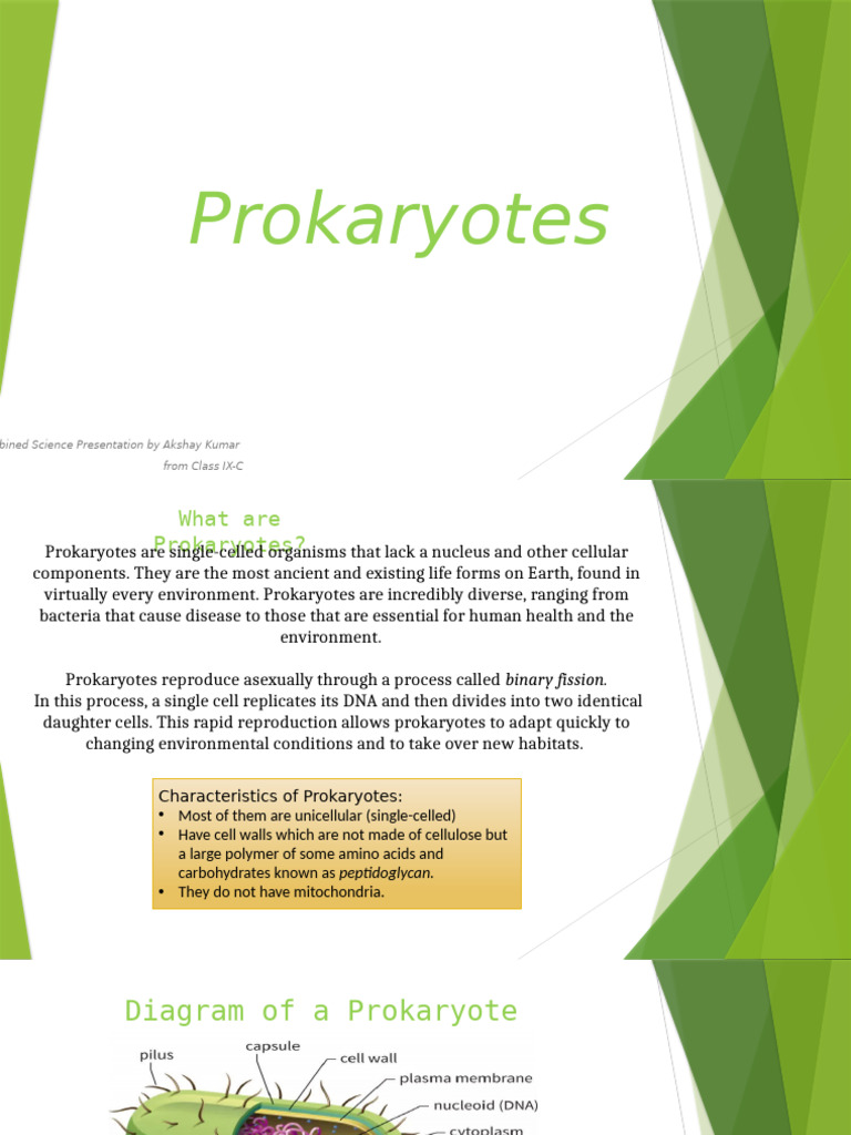 Understanding Prokaryotic Cells | PDF | Cell (Biology) | Prokaryote