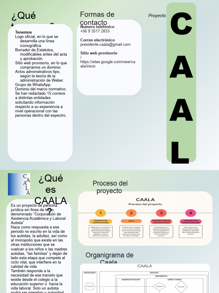 Tríptico CAALA | PDF | Informática