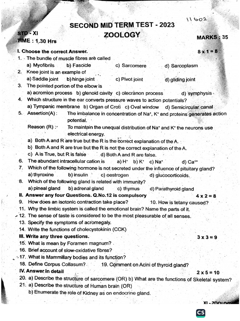 11th Zoology Mid Term Question Paper | PDF