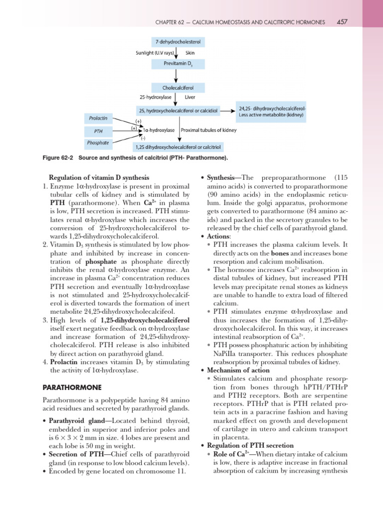 Fundamentals of Medical Physiology Harminder - Unlocked - Split - 96 ...