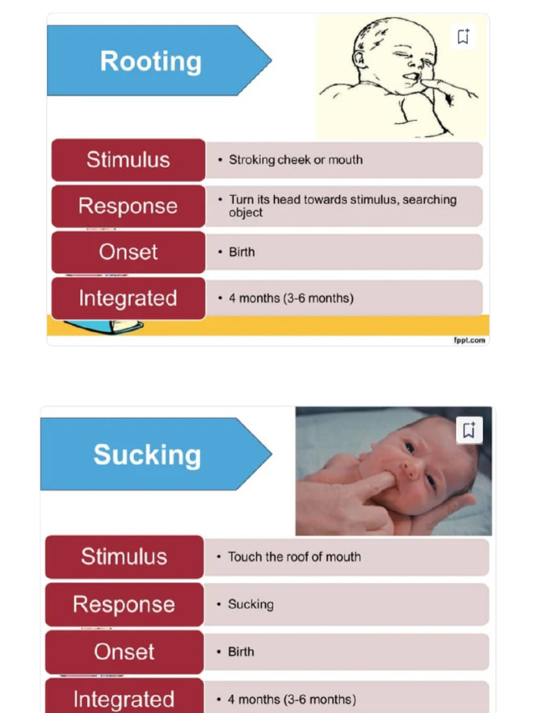 Refleks Primitive24 | PDF