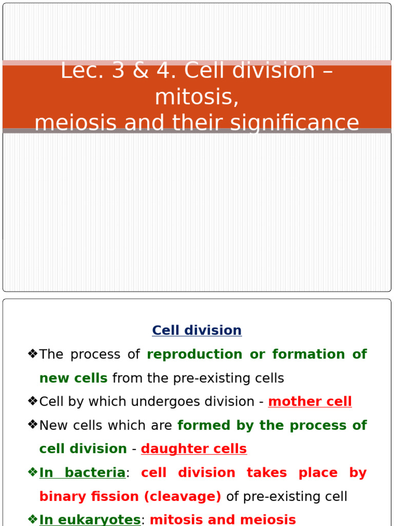 Lec. 3 & 4 PBG 201 - Mitosis and Meiosis | PDF | Meiosis | Mitosis