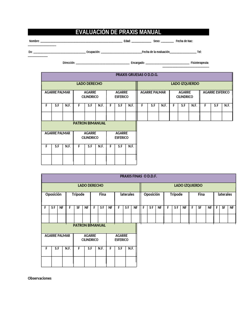 Evaluación de Praxis Manual | PDF