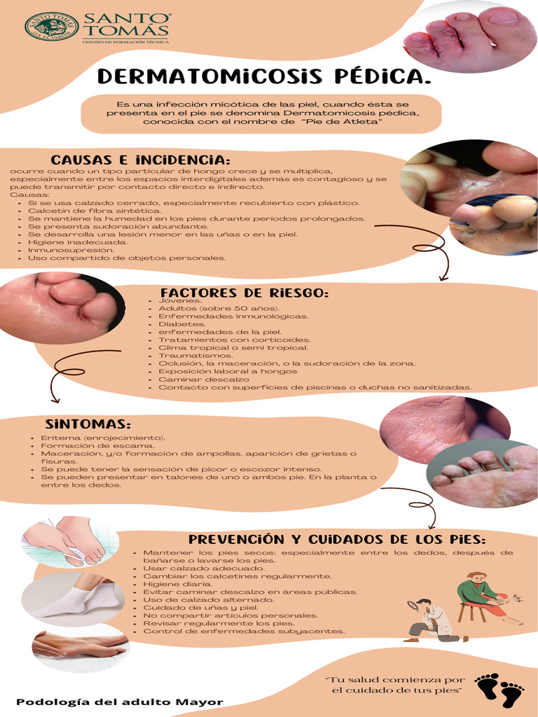 Dermatomicosis | PDF | Epidemiología | Causas de la muerte