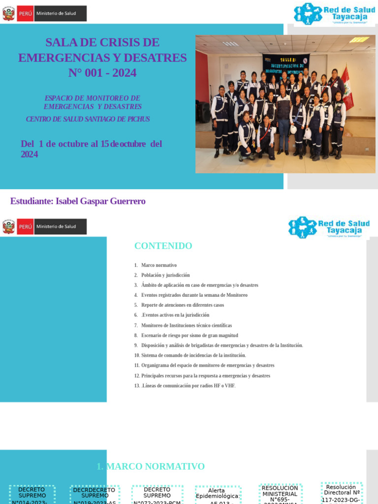 Isabel Gaspar Guerrero Maestria FFF | PDF | Salud pública | Cuidado de ...