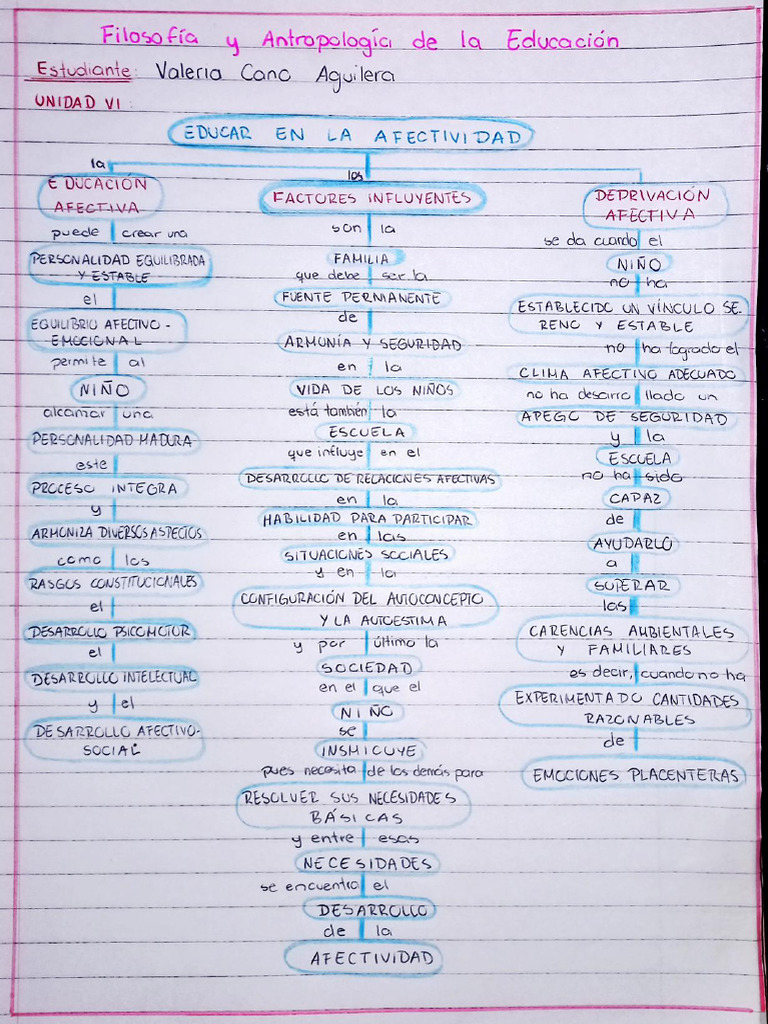 Cano Valeria - Mapa Conceptual - Unidad 6 | PDF