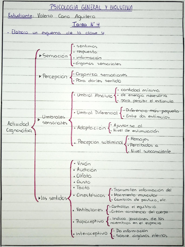 Cano Valeria-Esquema-Clase 4 Psi | PDF