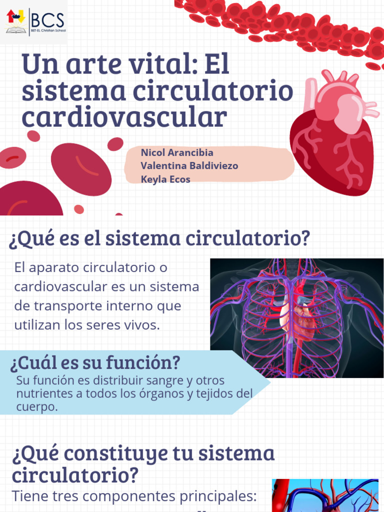 Presentación Proyecto de Medicina Creativo Azul - 20241106 - 225212 ...